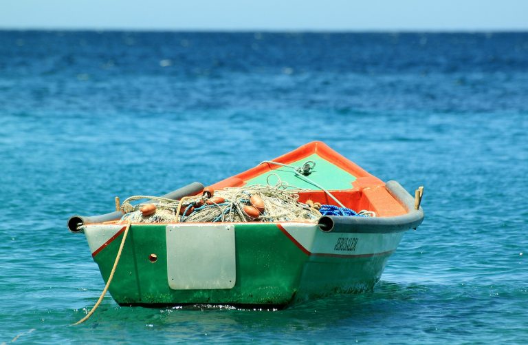 Pesca, l’allarme di Confcooperative: “A rischio la tenuta del settore ...